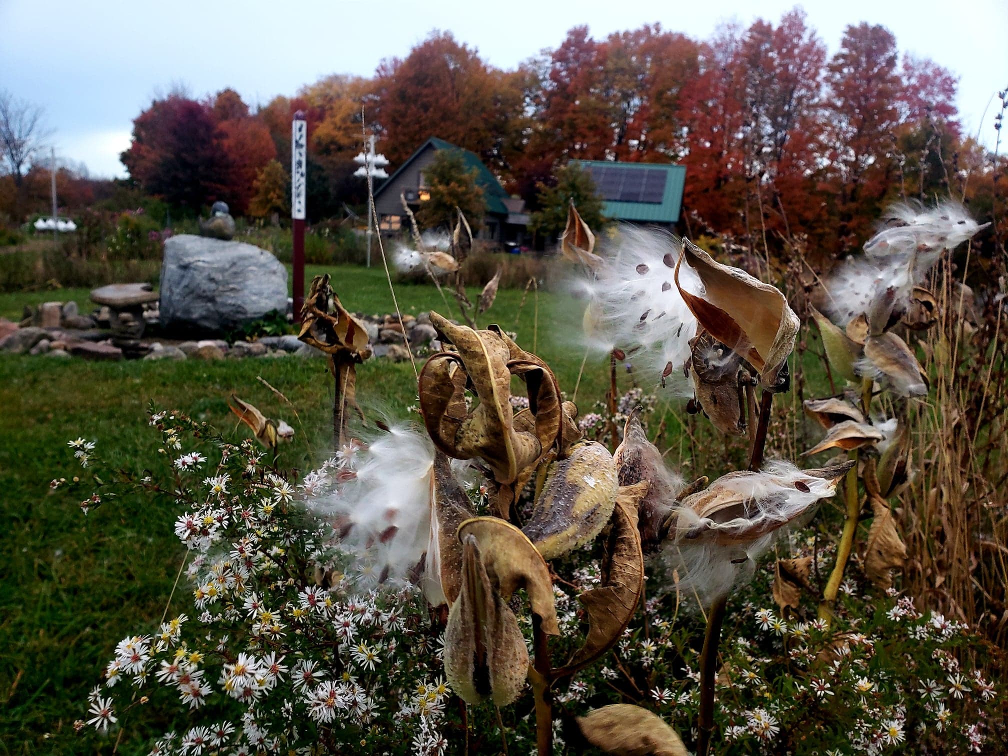 Greystone Nature Preserve: The hidden gem of Fredonia - The Leader