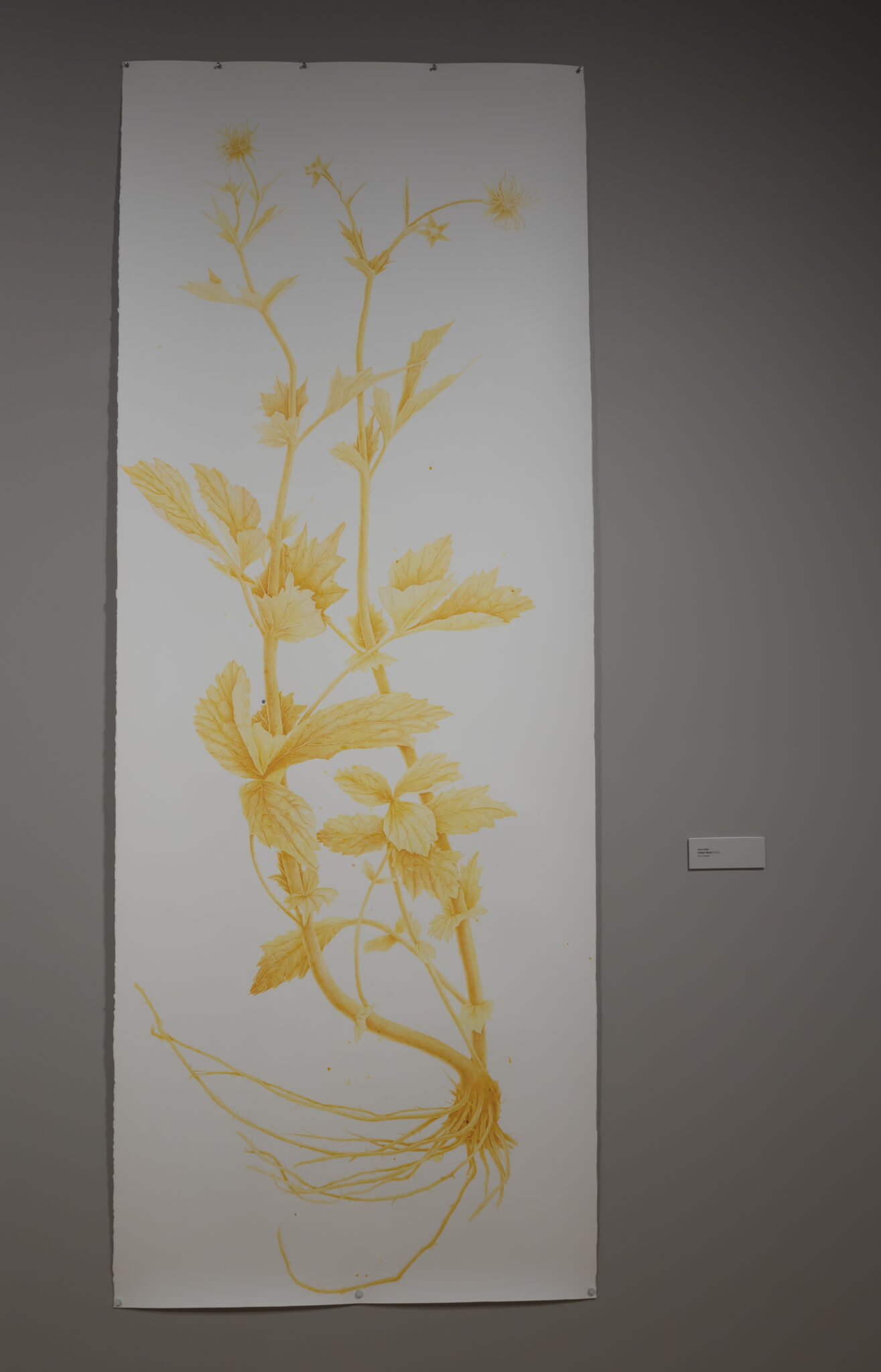 Photo gallery: "New Shapes from Old Tropes" art exhibit - The Leader