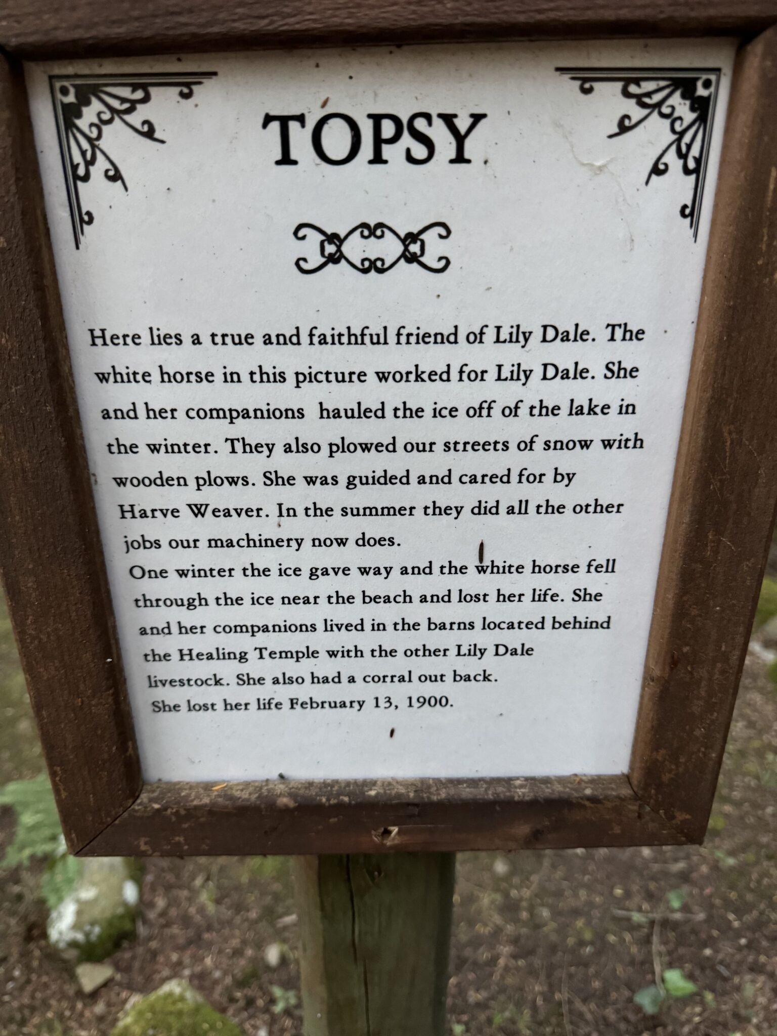 Lily Dale: A haven of spiritualism, suffrage and history - The Leader